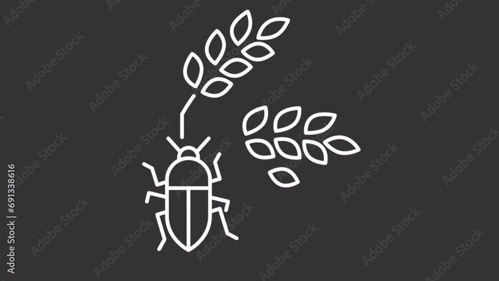 Pests danger white line animation. Bug and wheat animated icon. Crop ...