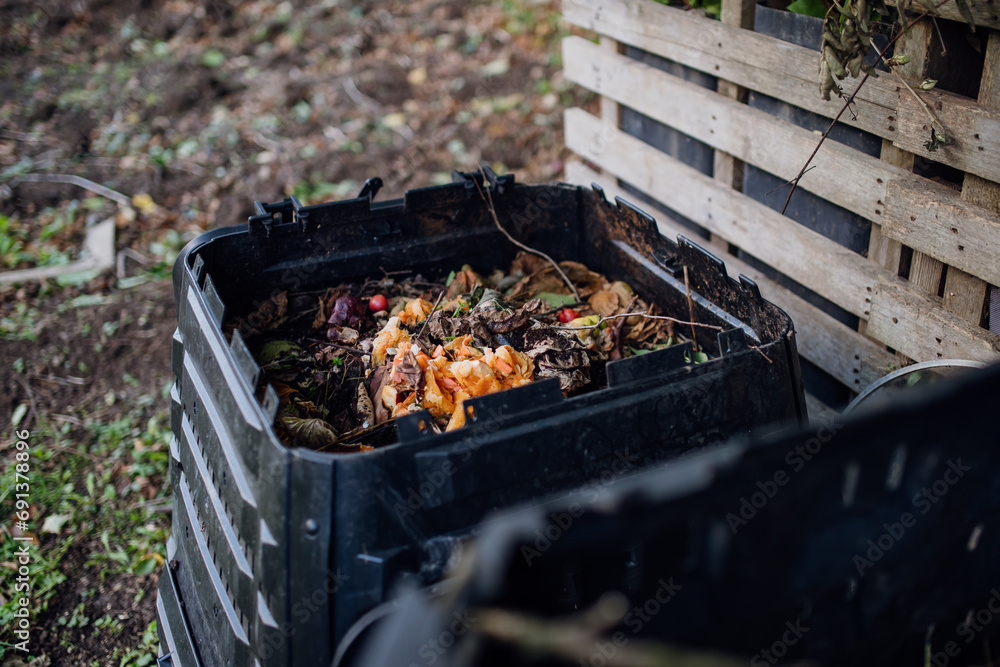 Compost in composter in garden, putting organic materials, kitchens ...