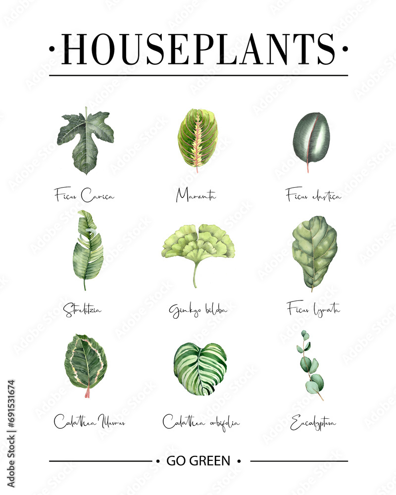 Art print with several plant leaves and titles. Hand-drawn watercolor ...