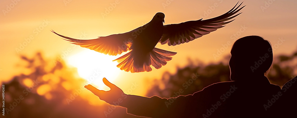 pigeon returns to hands, a symbolic moment of peace and connection ...