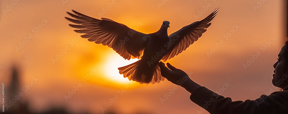 pigeon returns to hands, a symbolic moment of peace and connection ...