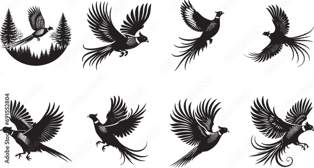Flying Pheasant Silhouette Vector, Black Silhouettes Of Pheasant In ...