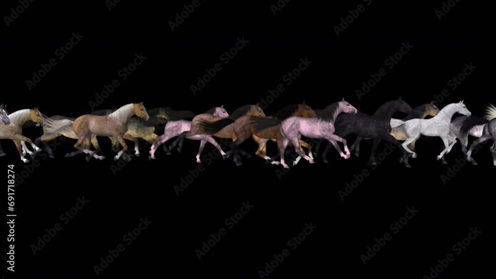 Horse Herd - Gallop Loop - Line Run - Realistic 3D animation isolated ...