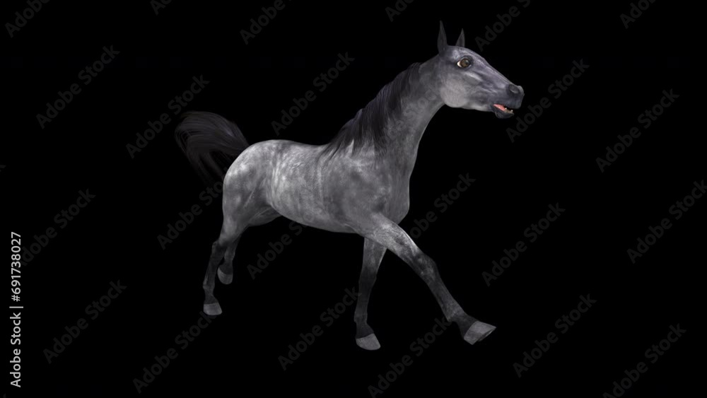 Dapple Grey Horse - Gallop Loop - Side Angle View CU - Realistic 3D ...