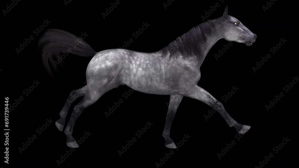 Dapple Grey Horse - Gallop Loop - Side View CU - Realistic 3D animation ...