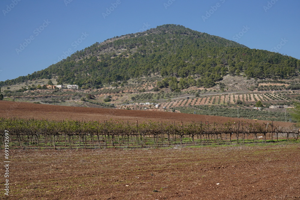 Mount Tabor in the Galilee, Israel with the Church of Transfiguration ...