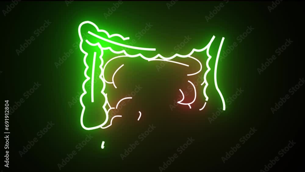 Green neon anatomy of the human digestive system. Anatomy of the human ...