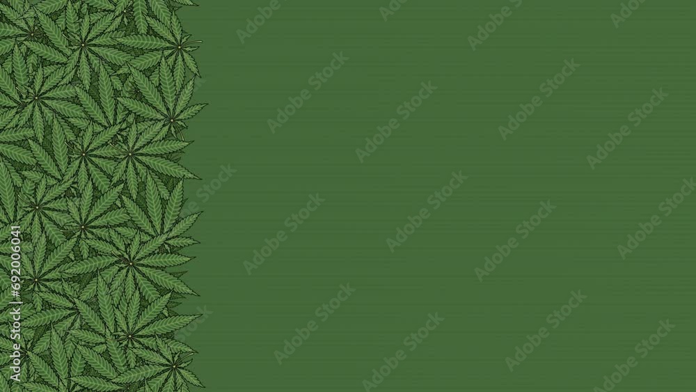 Cannabis leaves illustration fills the green gradient background ...