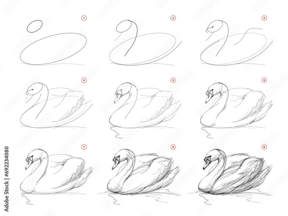 Page shows how to learn to draw from life sketch a swimming swan ...