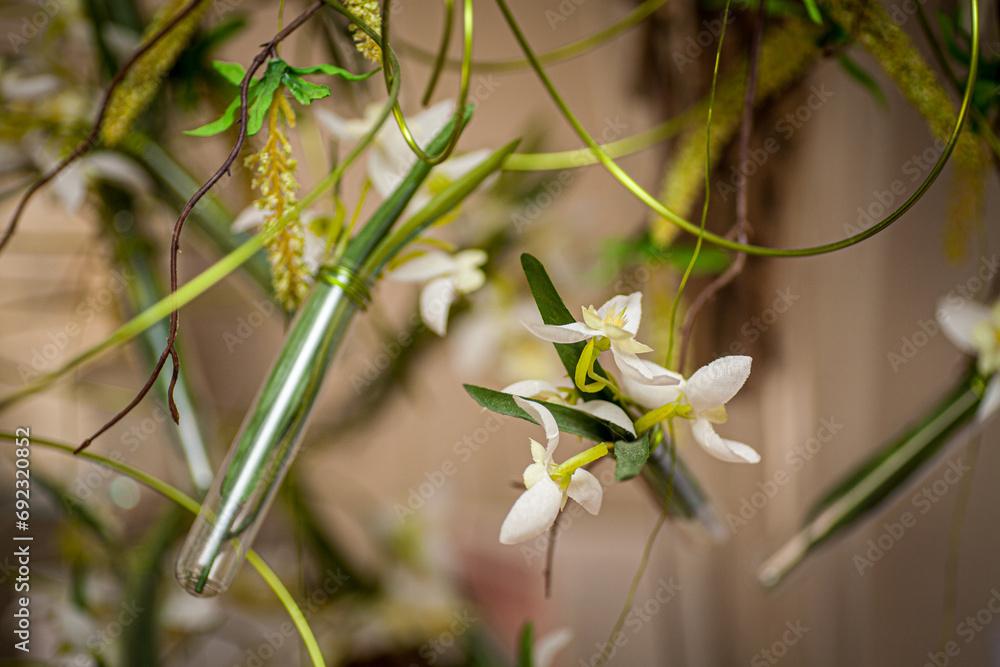 This image features a delicate white orchid suspended in a slender ...