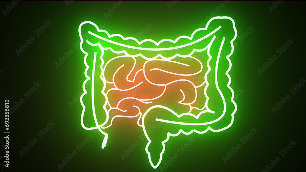 Green neon anatomy of the human digestive system. Anatomy of the human ...