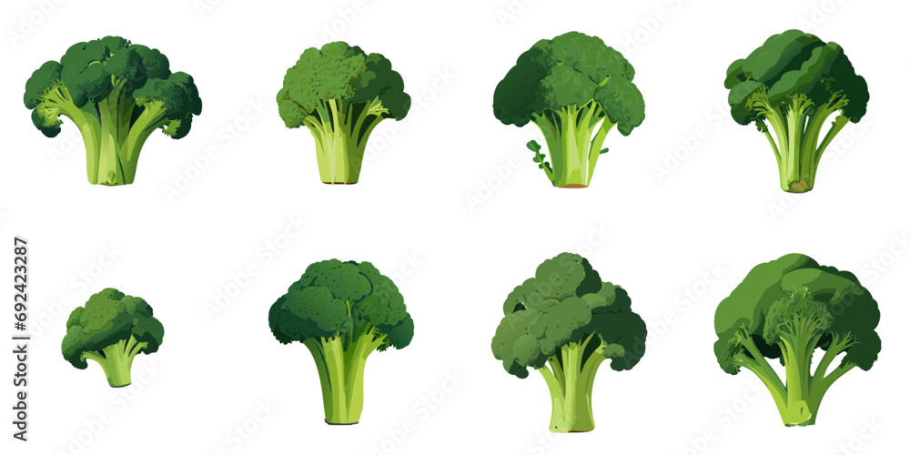 Vector illustration of multiple broccoli Stock Vector | Adobe Stock