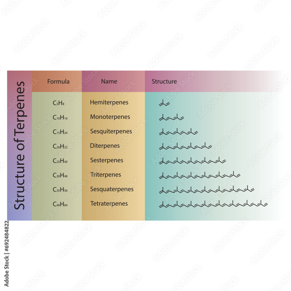 Vecteur Stock Diagram of Terpenes structure - Hemiterpenes ...
