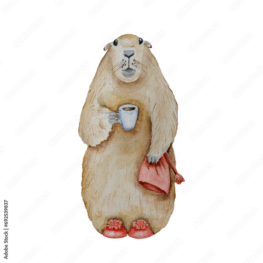 Marmot. Watercolor groundhog, Happy Groundhog Day, hand drawing on ...