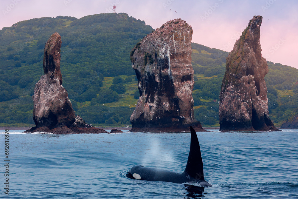 Sunrise landscape Rock Three Brothers with killer whale. Concept Travel ...