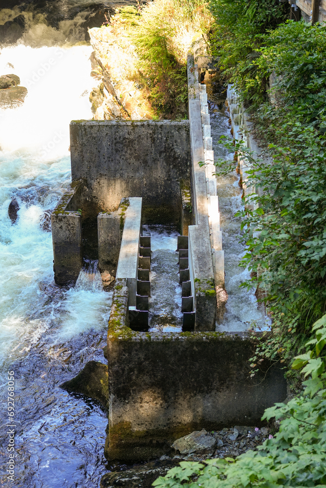 Salmon ladder built along the Ketchikan Creek to help salmons to swim ...