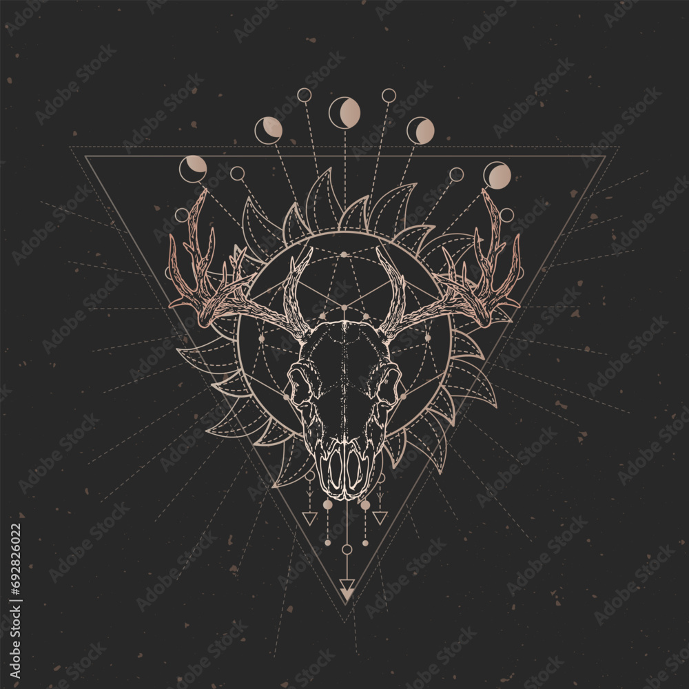 Vector illustration with hand drawn Stag skull and Sacred geometric ...