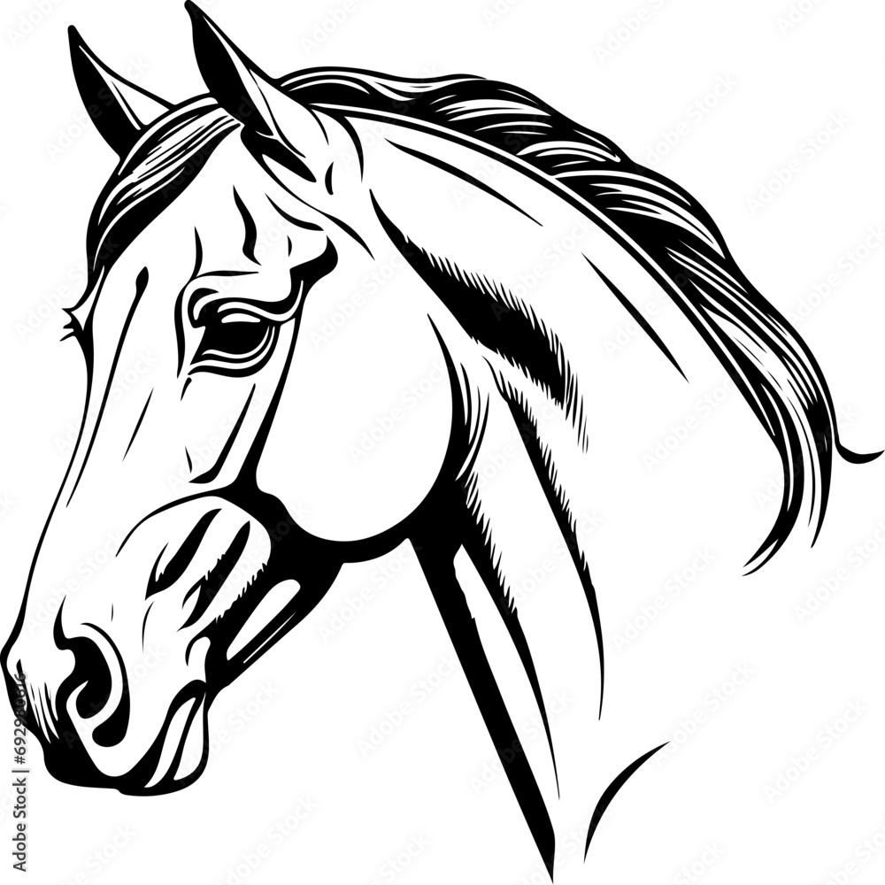 Horse head SVG, Horse Face SVG, Horse SVG Bundle, Horse Silhouette svg ...