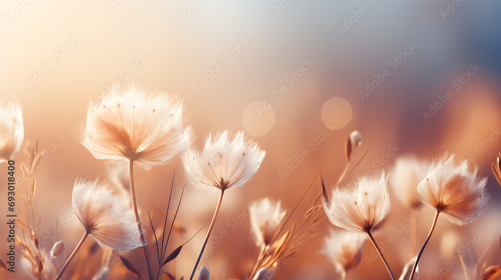 Serene Background, A plain and serene background with soft gradients ...