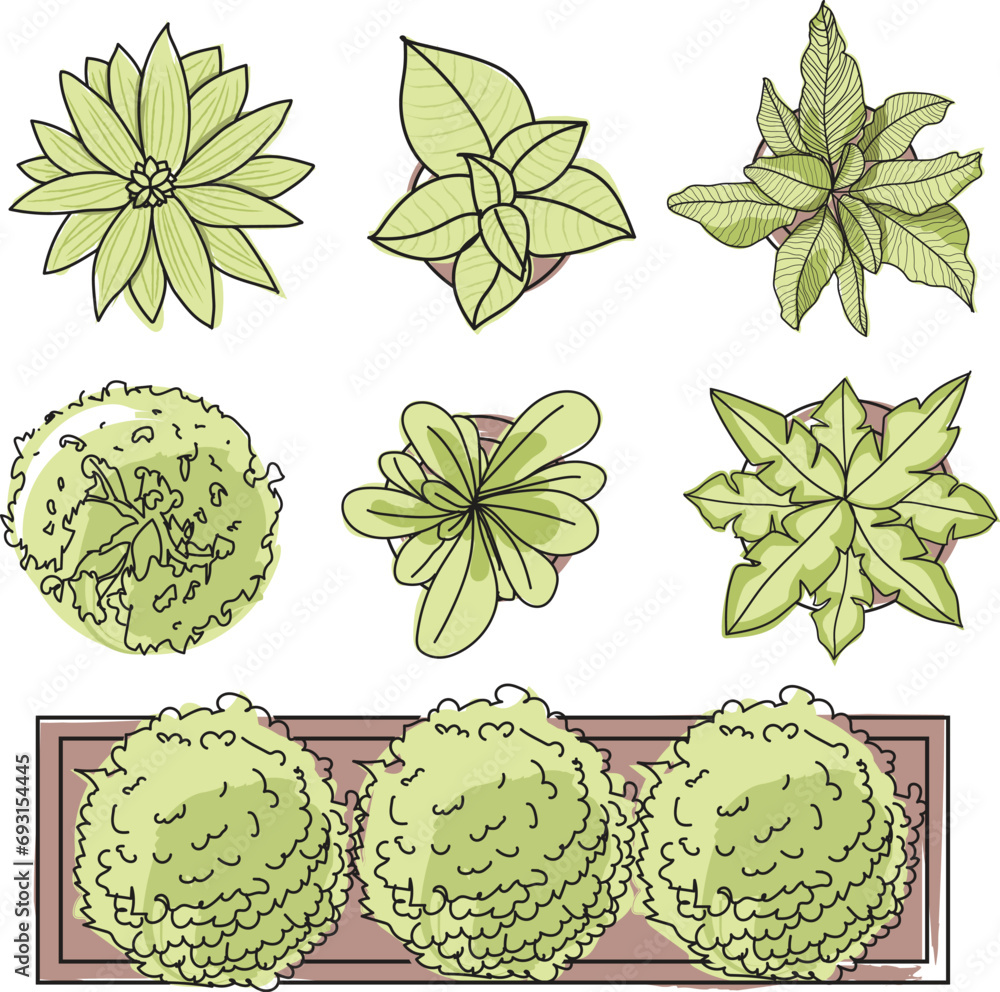 top view trees in pots.Set of Houseplants outline drawings and paint ...