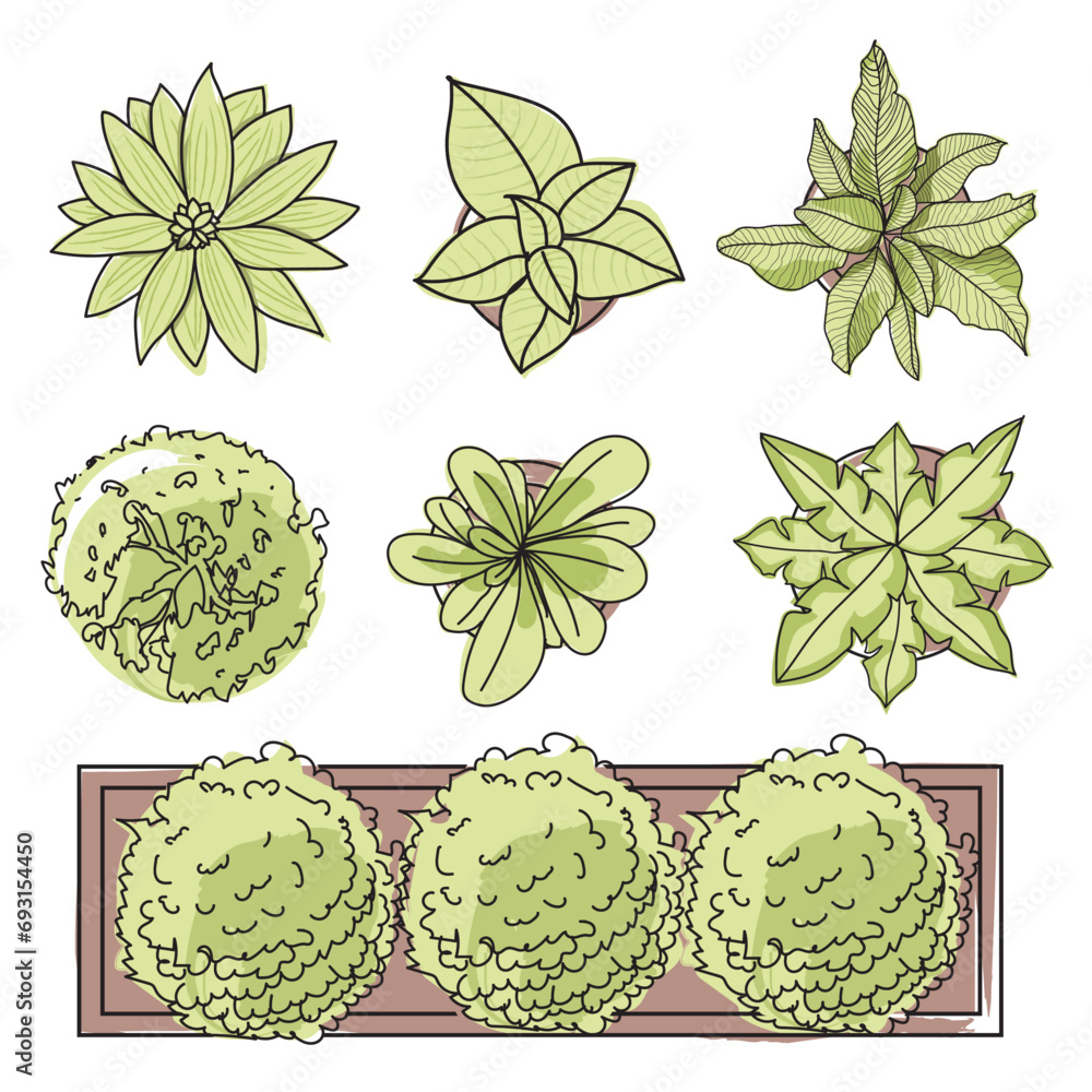top view trees in pots.Set of Houseplants outline drawings and paint ...