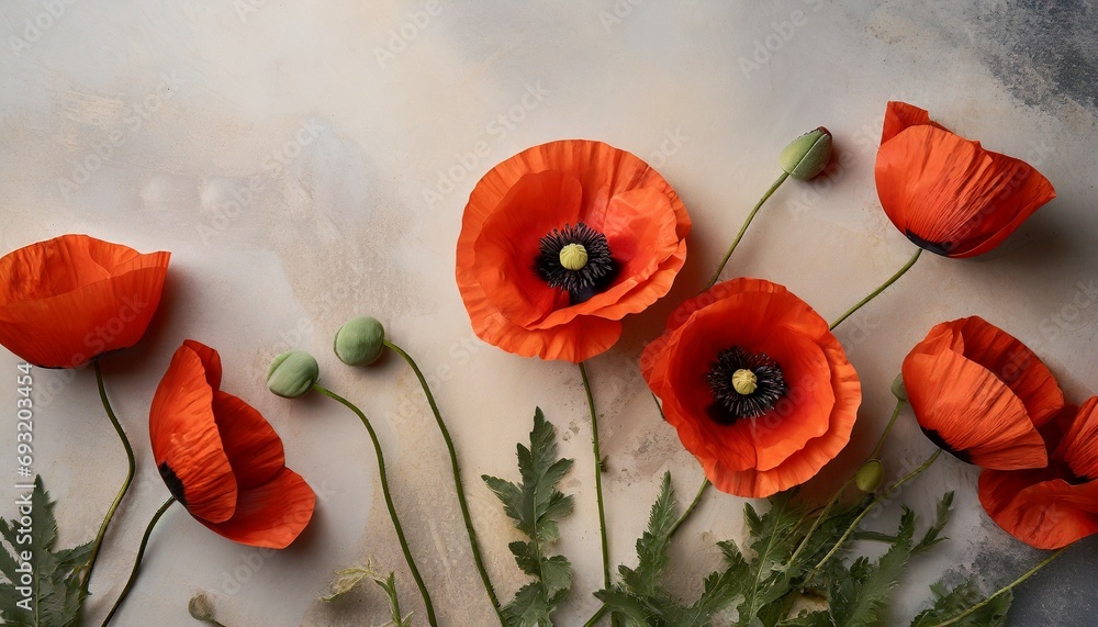 red poppy flowers on pastel background remembrance day armistice day ...
