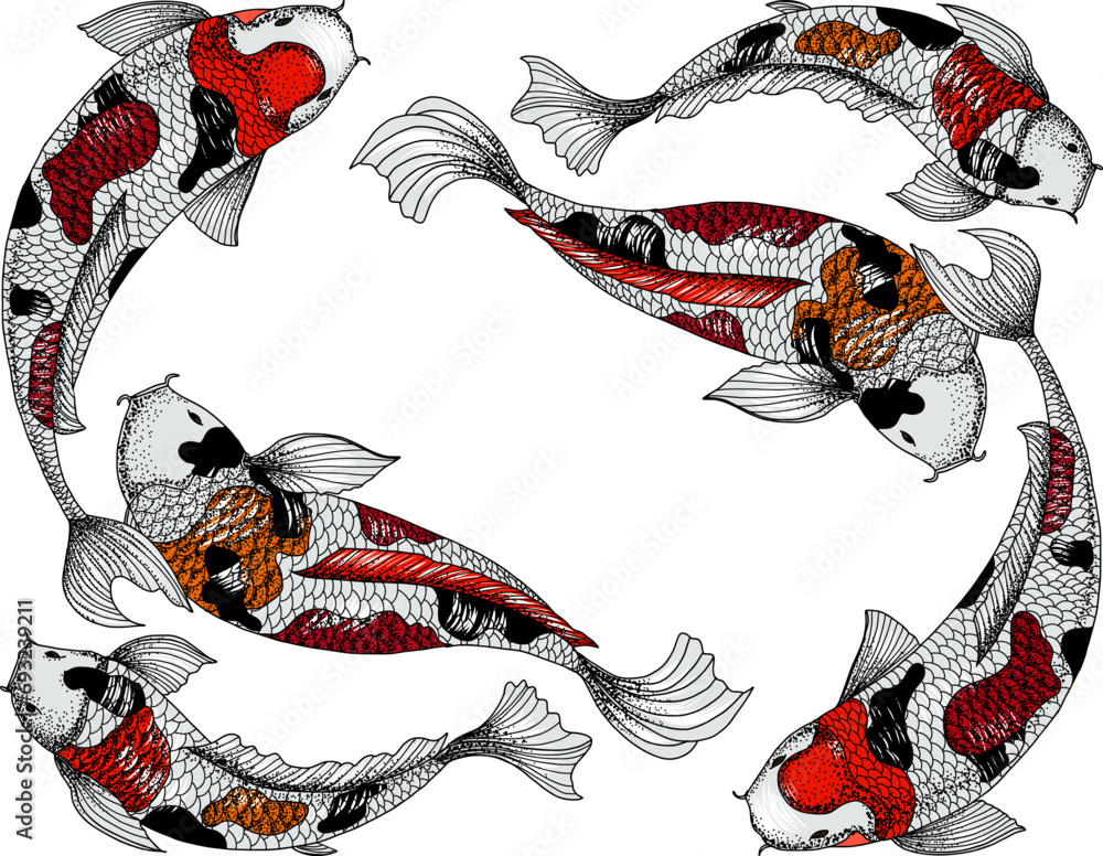 hand drawn koi fish in circle, Japanese carp line drawing coloring book ...
