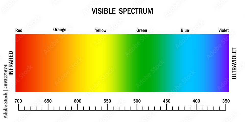 Visible light spectrum. Gradient diagram with wavelength and colors ...