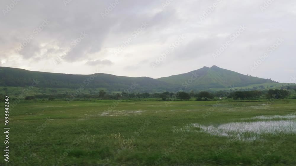 A scenic green monsoon landscape with meadows, watery farm fields ...