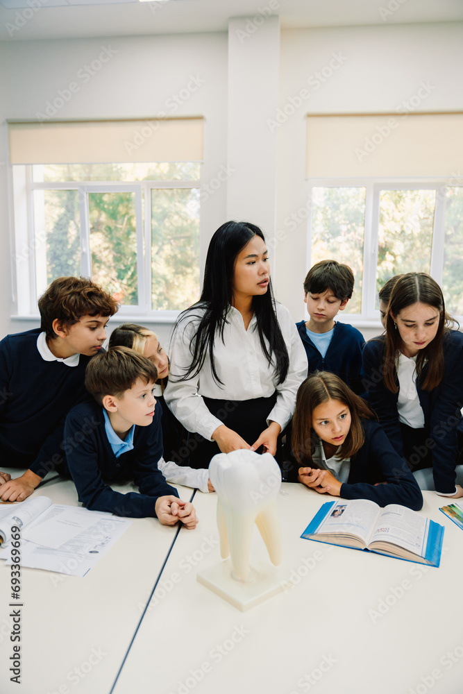 Asian teacher showing tooth model to group of kids during anatomy class ...