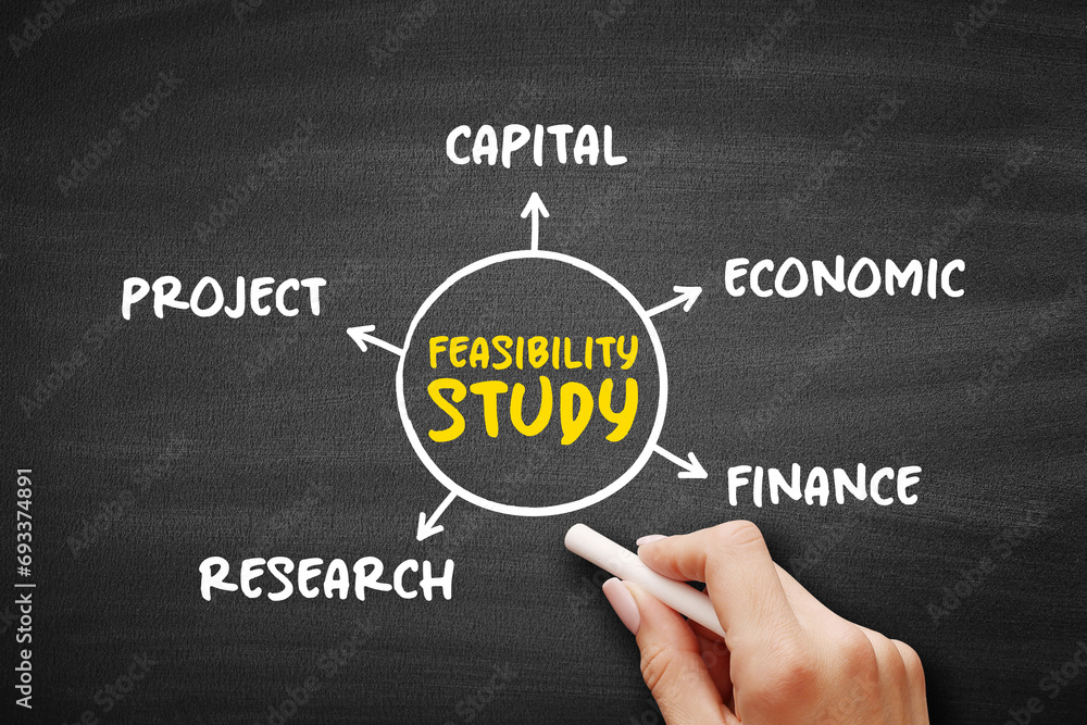 Feasibility study - assessment of the practicality of a proposed ...