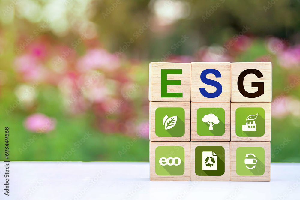 ESG Concepts in Environment, Society and Governance Sustainable ...