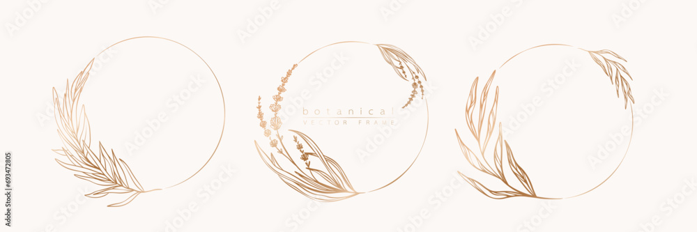 Botanical golden circle frame set. Hand drawn round line border, leaves ...