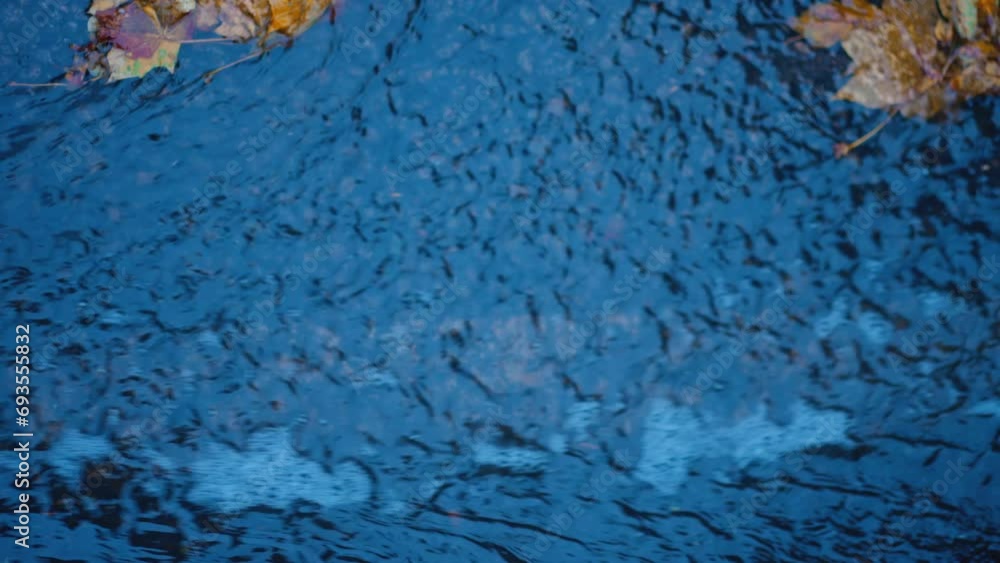 Vidéo Stock stream of fast rain water on city road after autumn rain ...