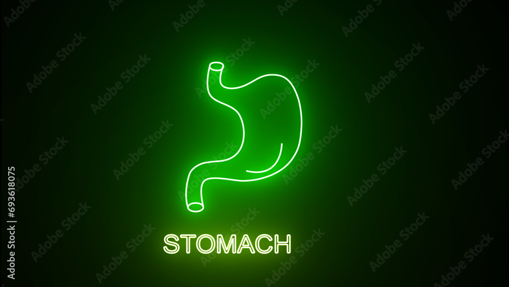 Glowing green neon line Human stomach icon is isolated on a black background. Animation of a ...