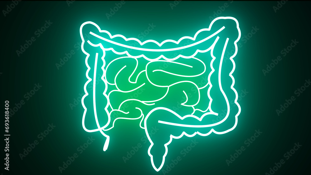 Blue neon anatomy of the human digestive system. Anatomy of the human ...