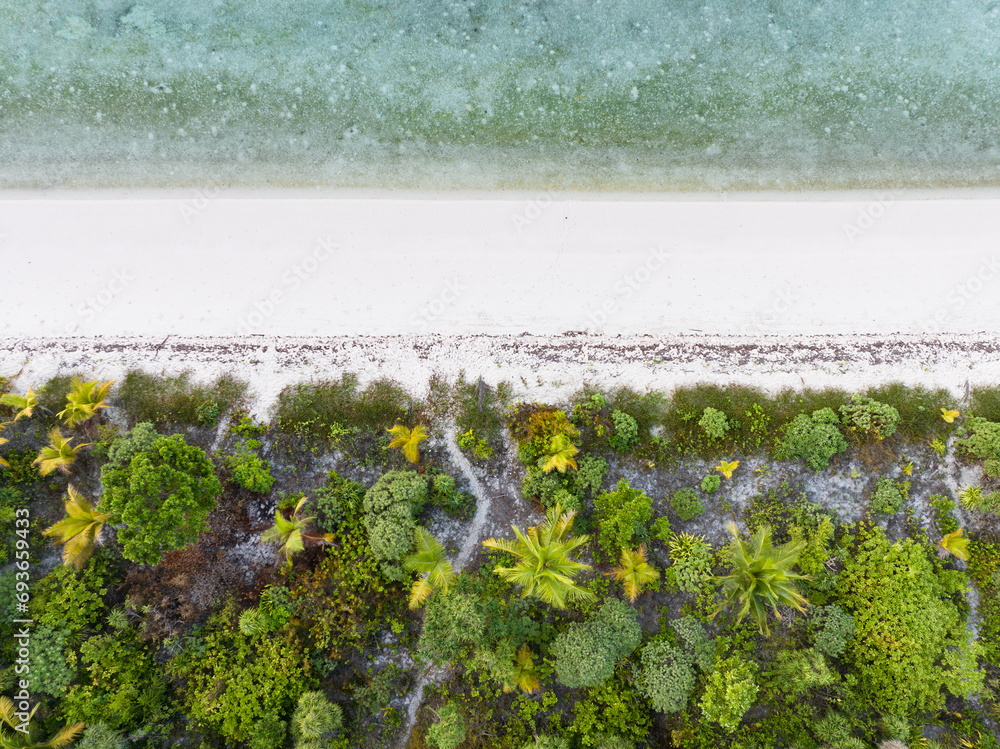 Palm trees grow along an empty, idyllic beach on a remote island in ...
