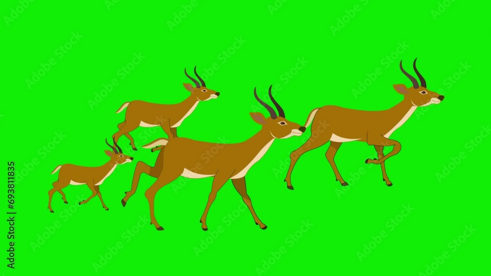 2d cartoon animal flock deer walk cycle side view green screen 4k Stock ...