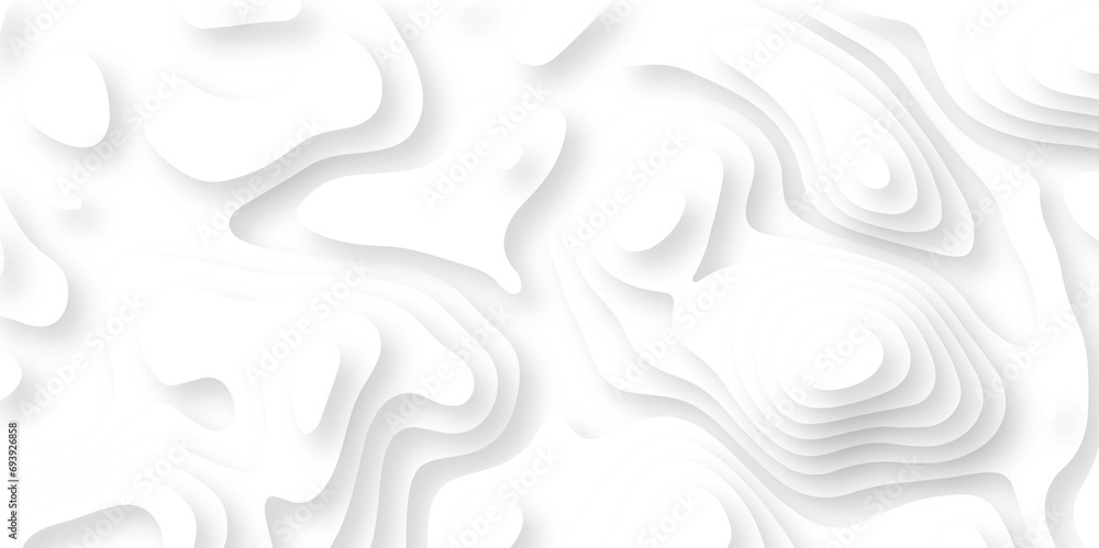 Abstract wavy line 3d paper cut white background. Topographic canyon ...