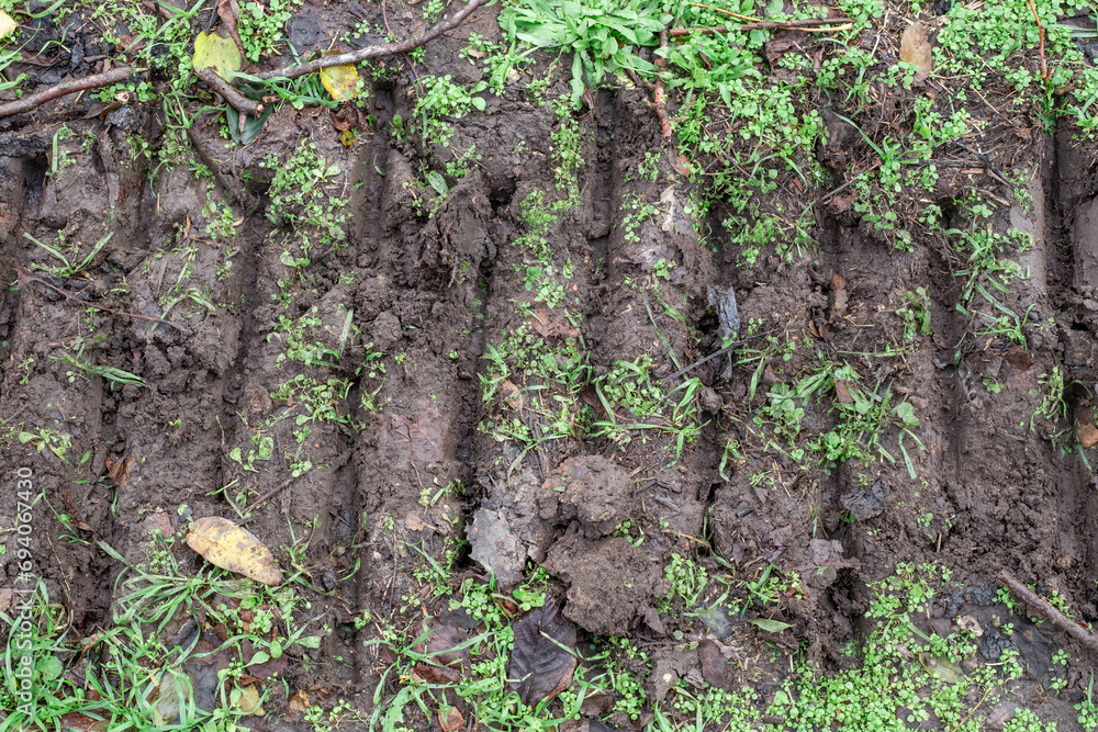 Dirty wet soil with fine grass and a pattern from a passing caterpillar ...