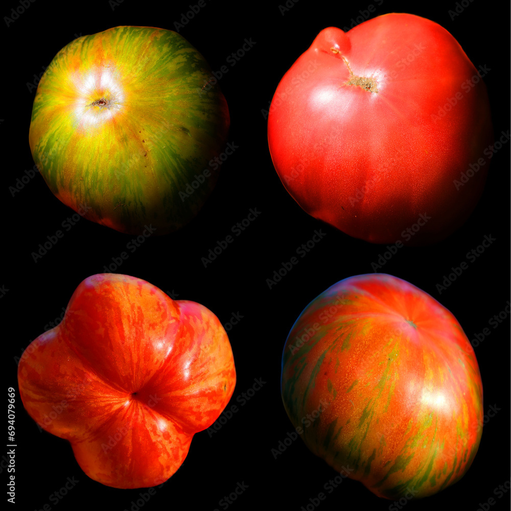Colorful vintage Heirloom tomatoes vegetable. An heirloom tomato (also ...