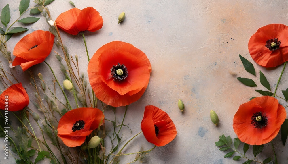 red poppy flowers on pastel background remembrance day armistice day ...