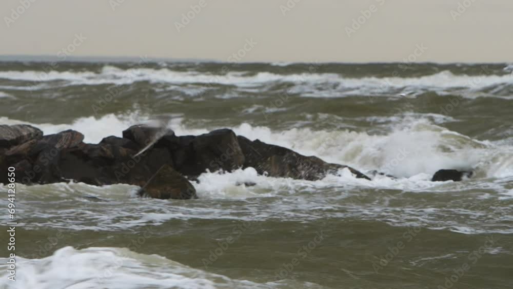 Stormy sea waves crash against coastal rocks under cloudy sky. Seagull ...