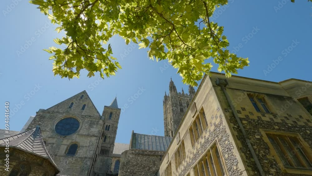 LENS FLARE: Beautiful exterior of an old cathedral from under the green ...