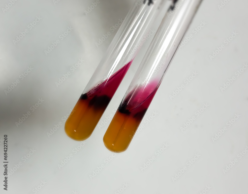 Salmonella detection method by using Triple Sugar Iron (TSI) Agar in ...