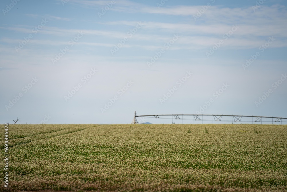 Agricultural pivot on a regenerative agriculture farm. Sustainable ...