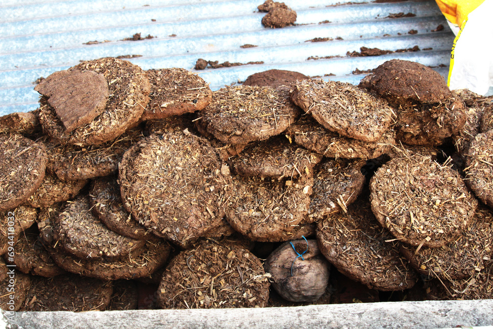 Pile of dung cake. Collection of cow and buffalo dunk cake. Also known ...
