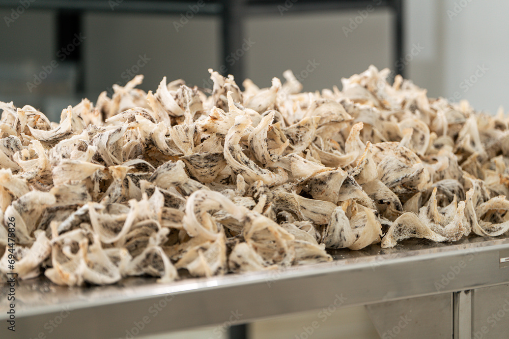 Raw edible bird's nest materials for tradition chinese medicine ...