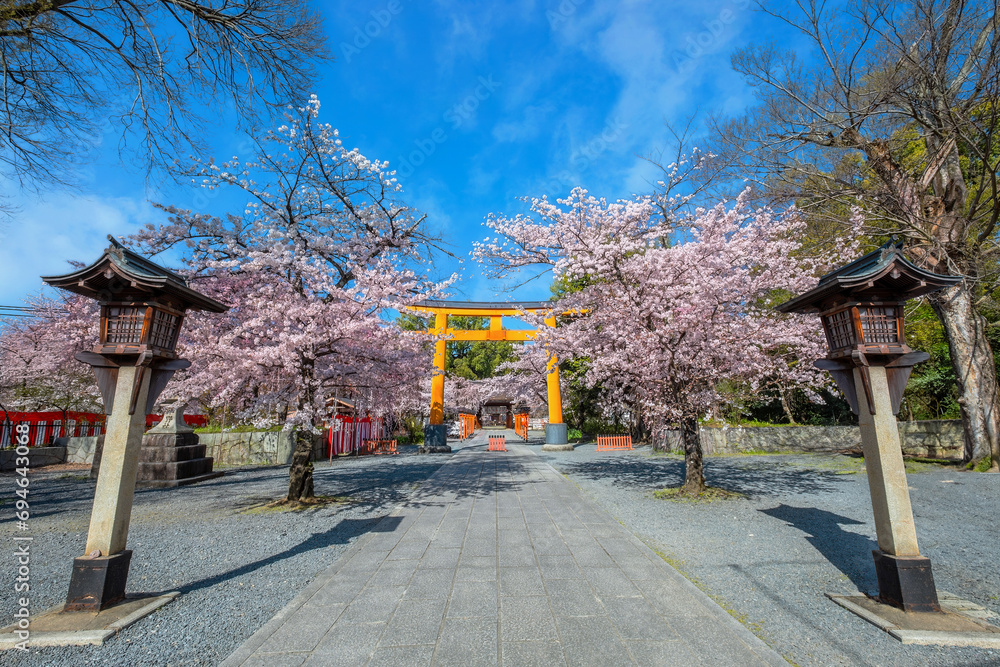 Hirano-jinja shrine is the site of a cherry blossom festival annually ...