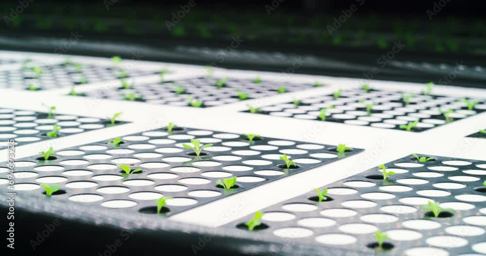 Small Crops Production in a Controlled Environment at a Modern Vertical ...